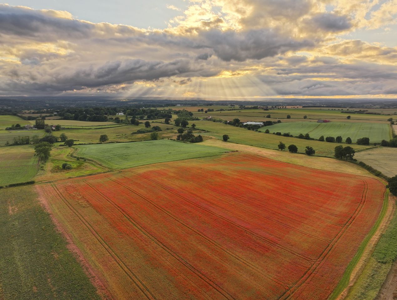 Gallery – Thornborough Archaeology Group
